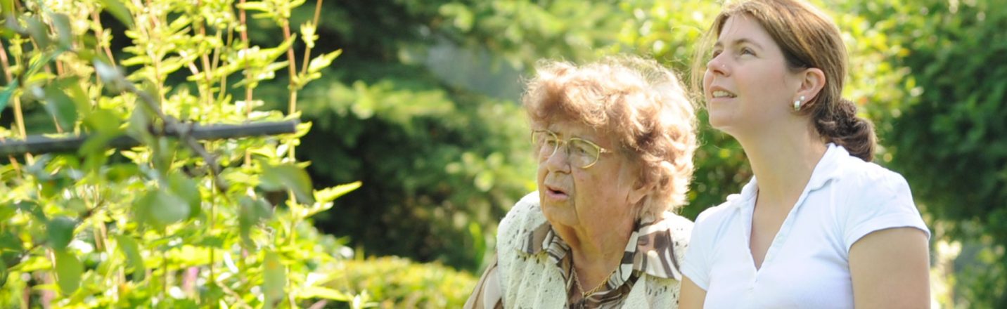 Betreuung | Der Karren